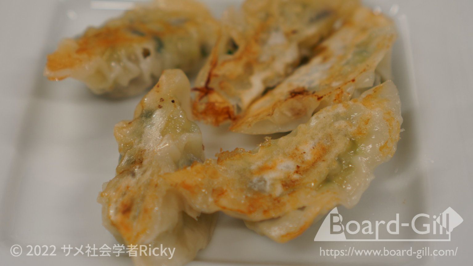 【絶品】広島のワニ料理を試食してきたので、サメの食文化と共に紹介します。 | Board-Gill